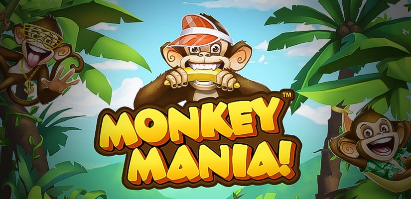 Monkey Mania Slot Review - Play Monkey Mania Slot Online